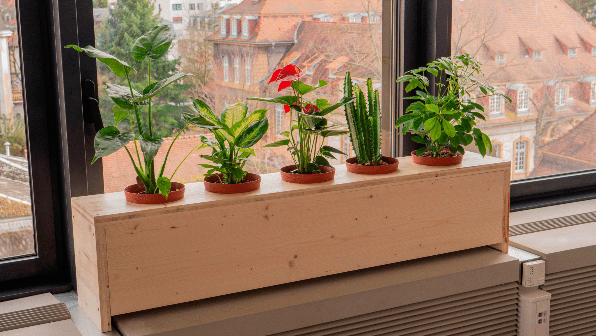 Make a custom wooden planter